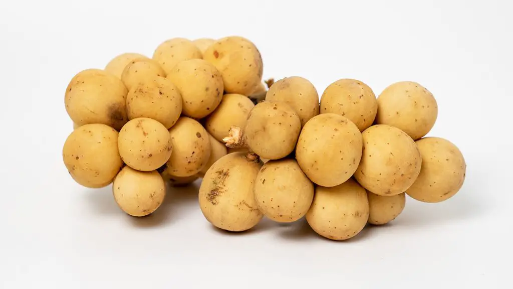 50 of the World's Strangest Fruits and Vegetables • Pop Listicle