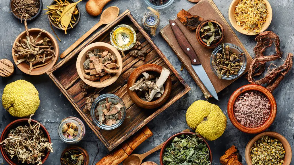 Top 10 Best Foods to Eat With Antibiotics – Pop Listicle