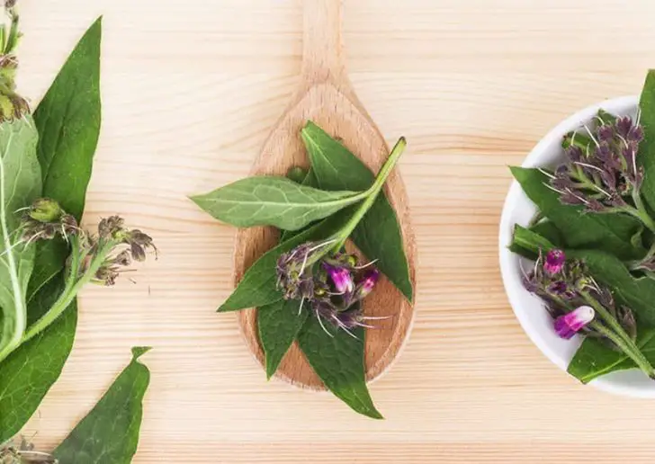 10 Weird Types of Teas You Didn’t Know Existed – Pop Listicle